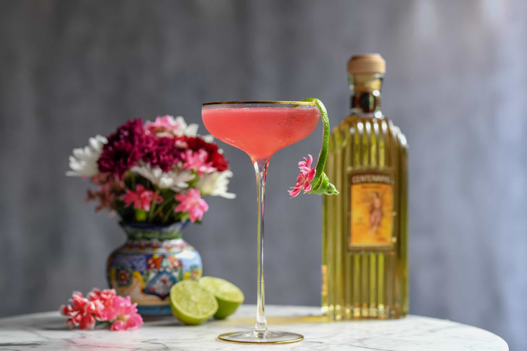 Hibiscus Martini - Beautiful Booze; Stylish Cocktails to Make at Home